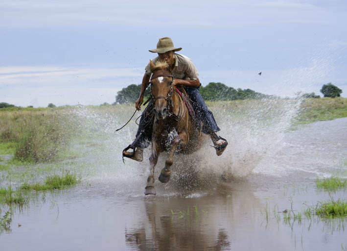 Purooooo llanooOOO!! mas naAA: EL llano lo mas criollo y lindo e Vnezuela