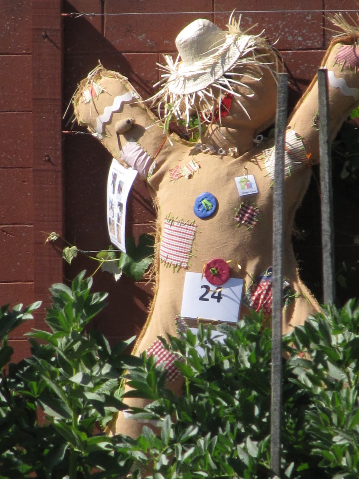 Bees in the Antipodes: Scarecrows in the Vege Garden this week.