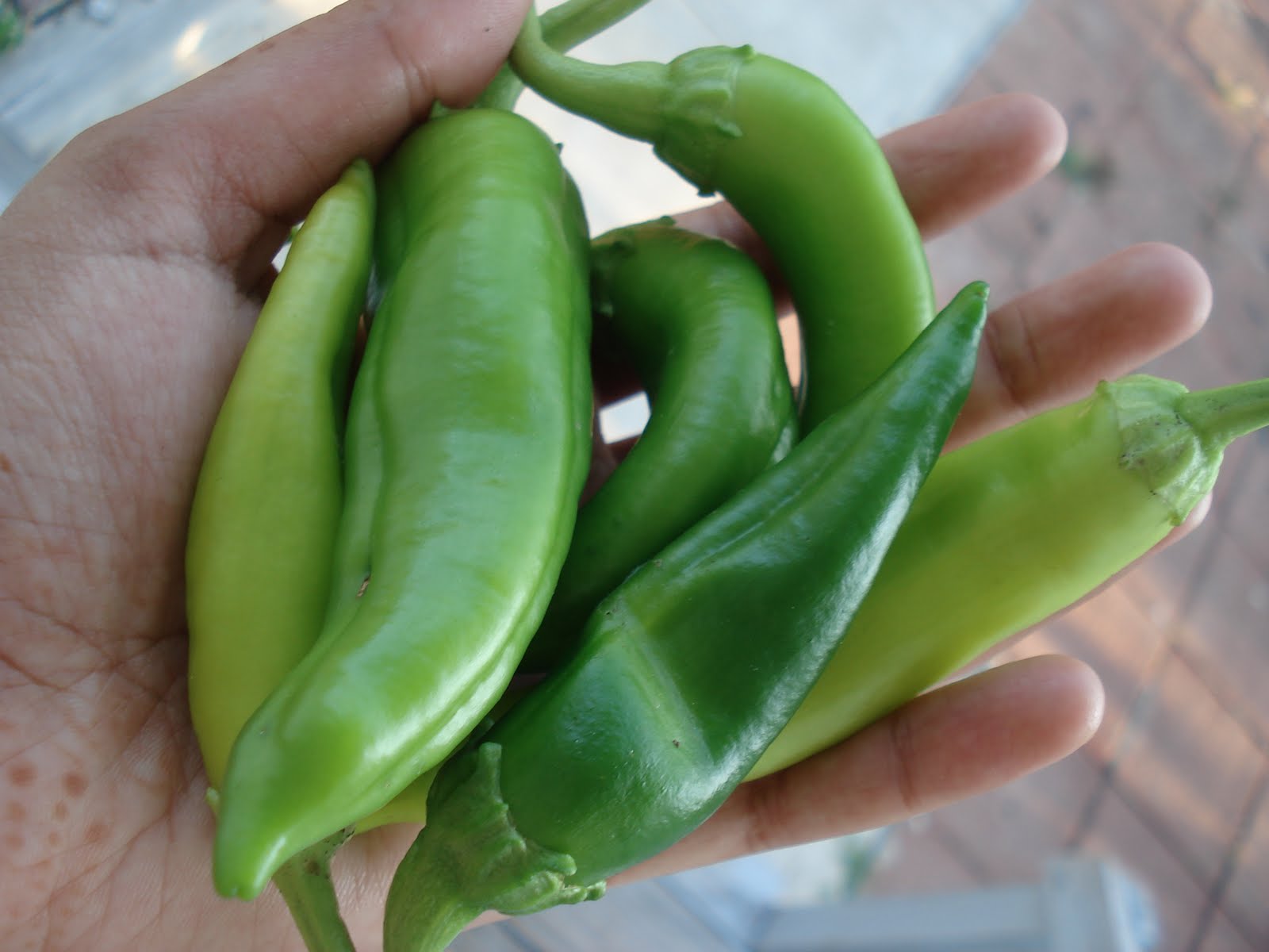 And the winner is.... Along with Mirchi Bhajiyas!!!! ~ Desi Zayeka