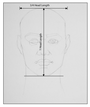 Paint Draw Paint, with Ross Bowns: Drawing Basics: Proportions of the Head