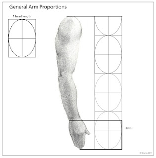 Paint Draw Paint, with Ross Bowns: Drawing Basics: Proportions of the Arm
