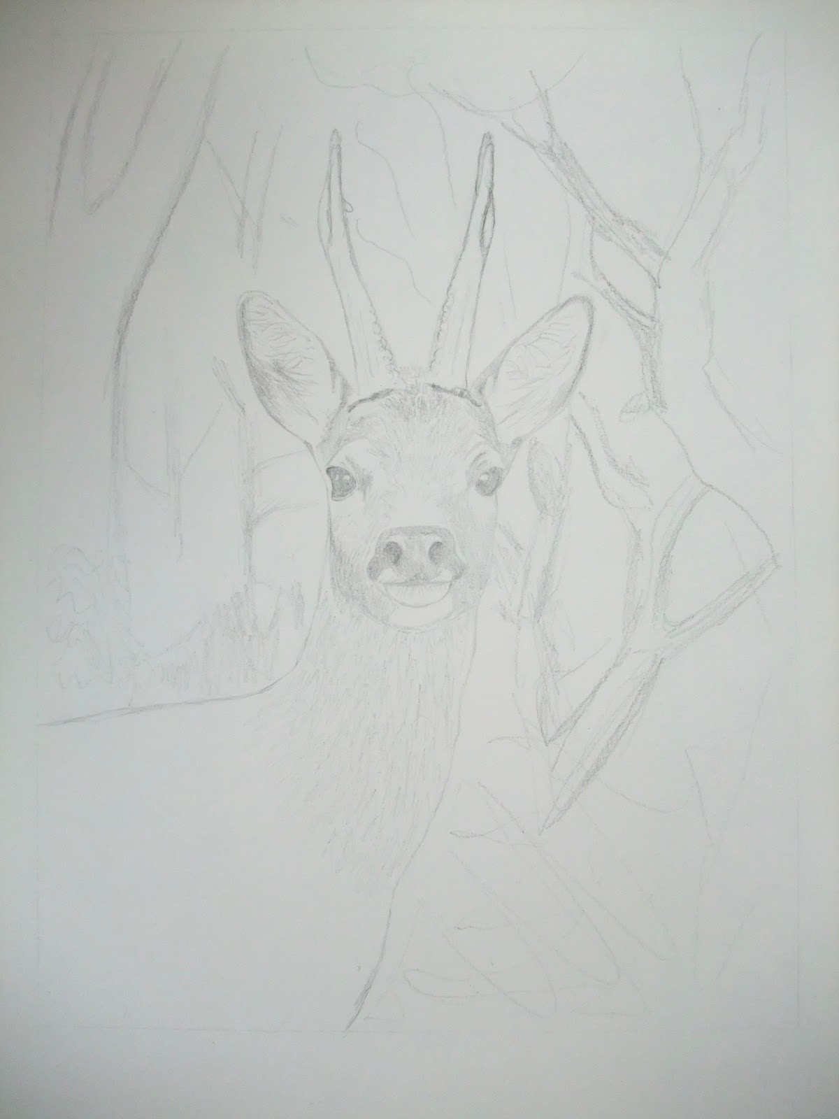 Antoine Roquain Dessin Animalier, Wildlife Pencil Art: Portrait de ...