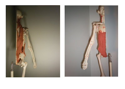 Melissa Mantzke: Clay Model