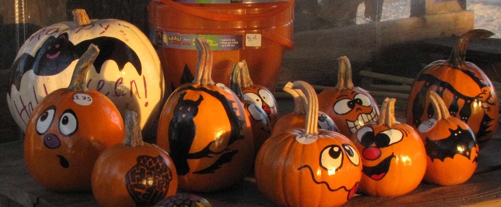 Kendra Caudill's Photo Blog