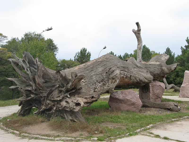 Funny Photos Collection Funny Tree funny-photos-collection-funny-tree