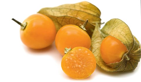 Aromas e Sabores: Physalis = Juá