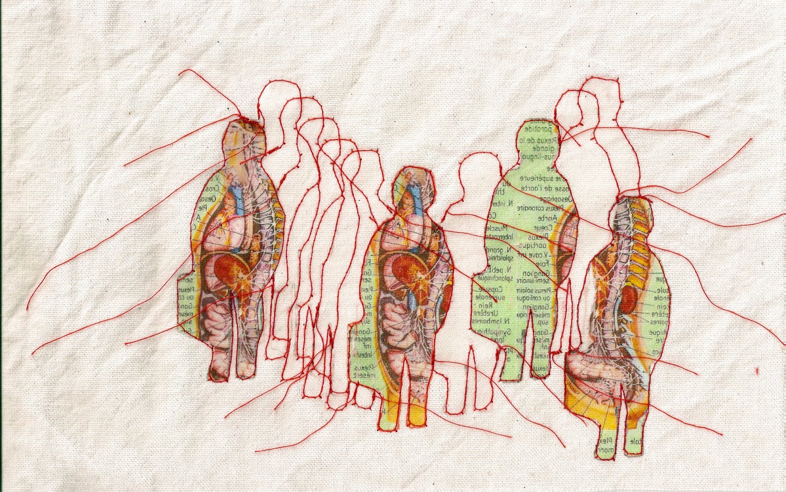 Planches anatomie : trouvez le meilleur prix sur Voir avant d'Acheter