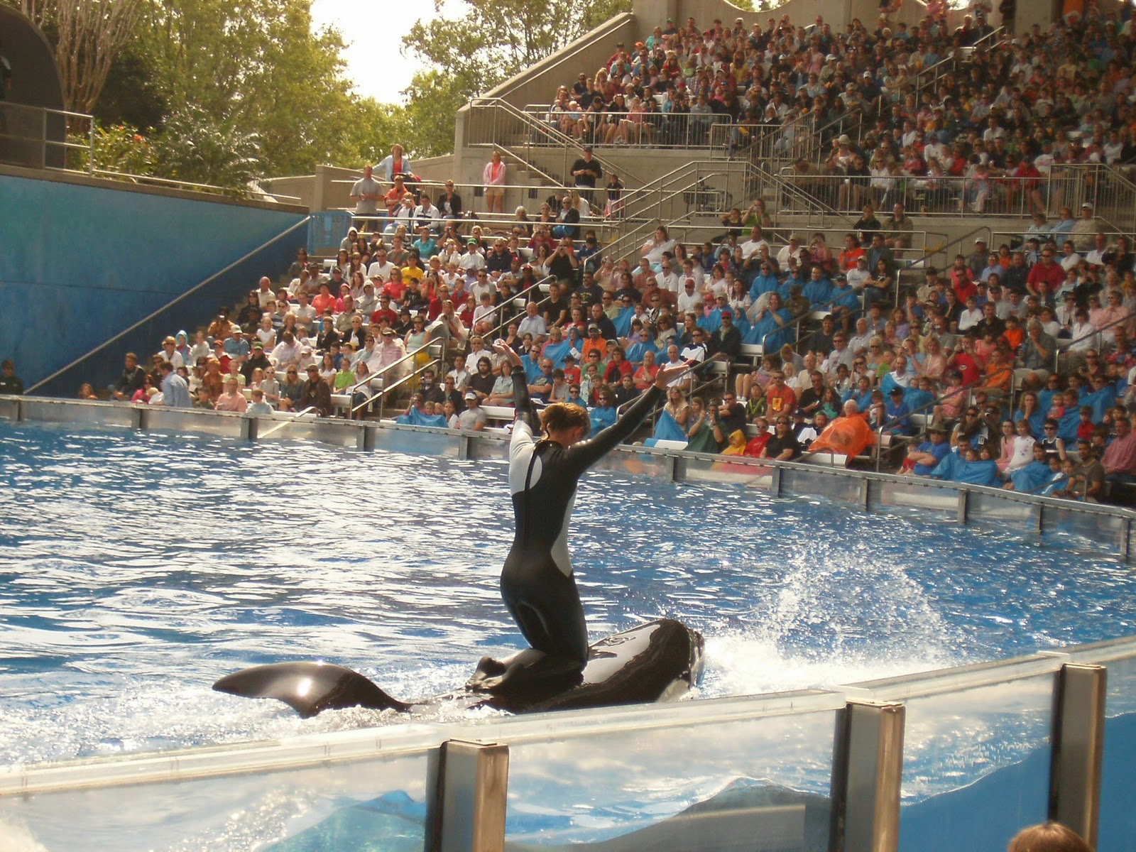 Williams Family: SeaWorld's Believe!