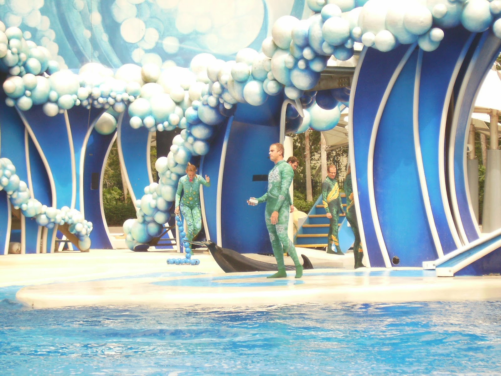 Williams Family: SeaWorld's Blue Horizons!