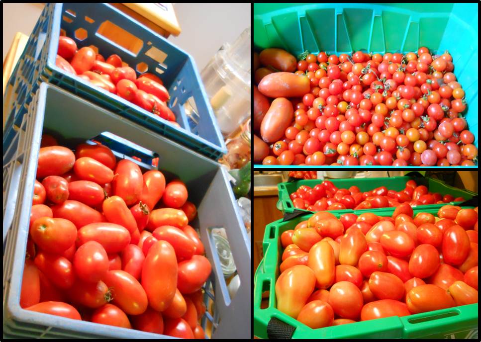 Savoir-faire à conserver: Mes conserves de tomates 2010