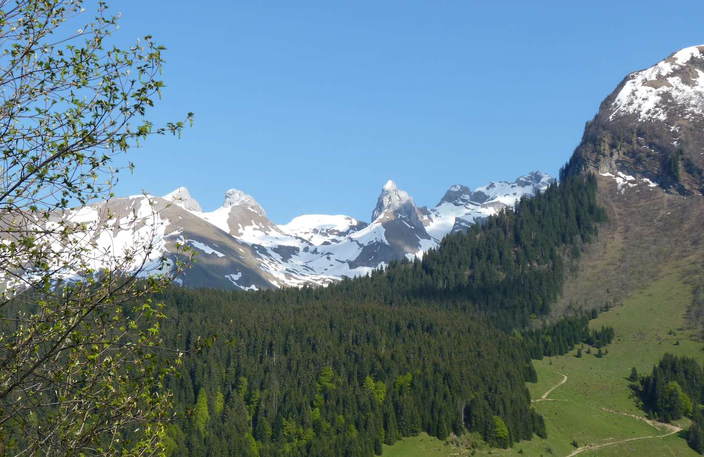 Dispatch from Metz: Le Col de la Colombière