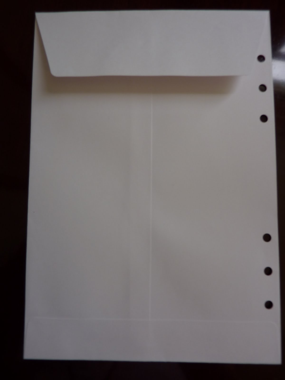 Philofaxy: Filofax Receipts Envelope