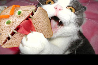 School Projects :3: Sandwich cat.