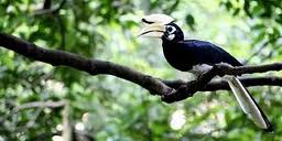 ENGGANG DI BUNDARAN KOTA KUALA KAPUAS | disporabudparkapuas