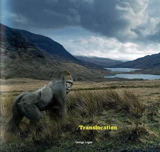 All Things Great And Small