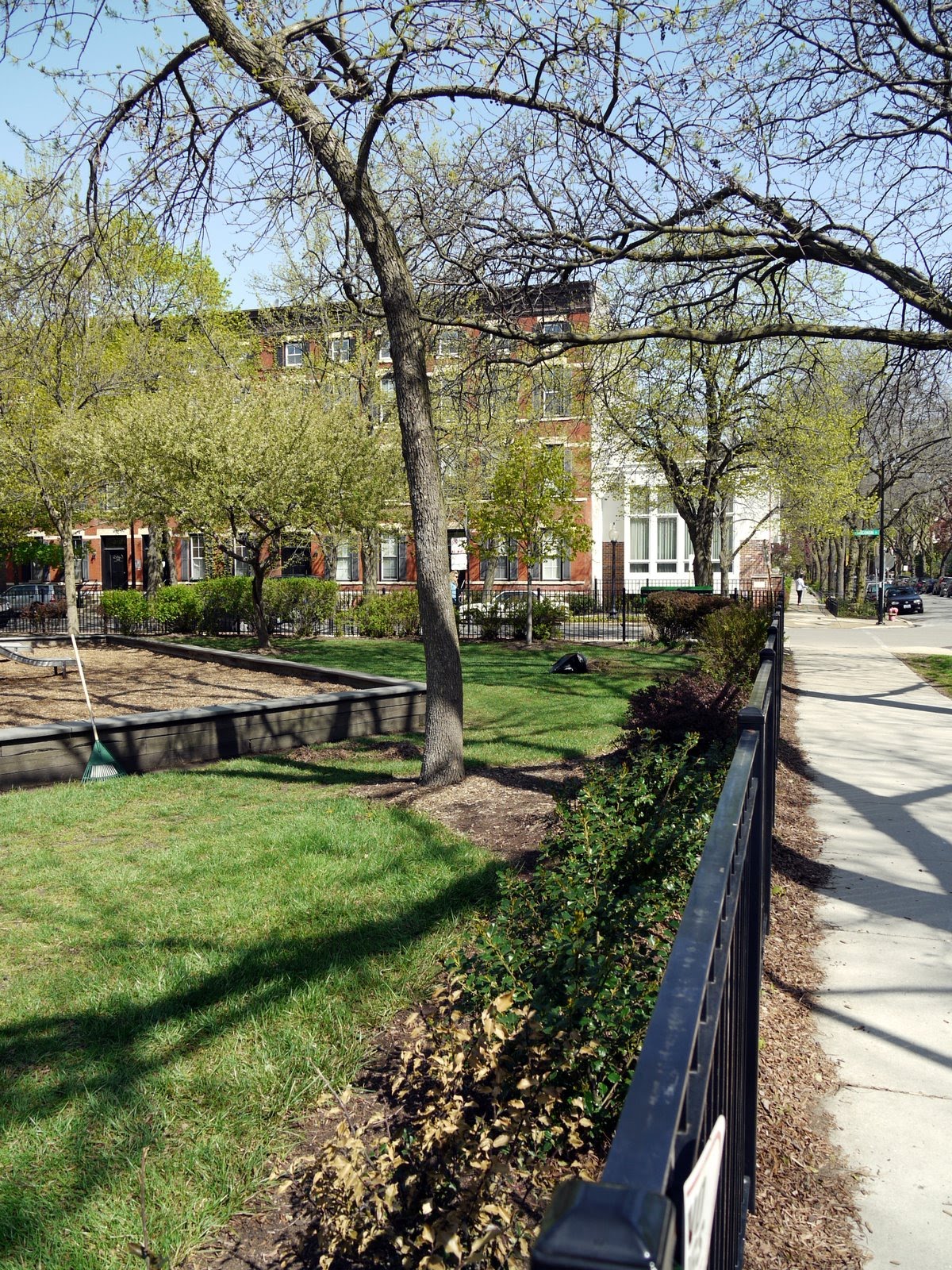 Renown Old Town: Paddy Bauler - Alderman, Saloon Keeper, Pretend Irish ...