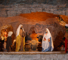 Southern Matriarch: N is for