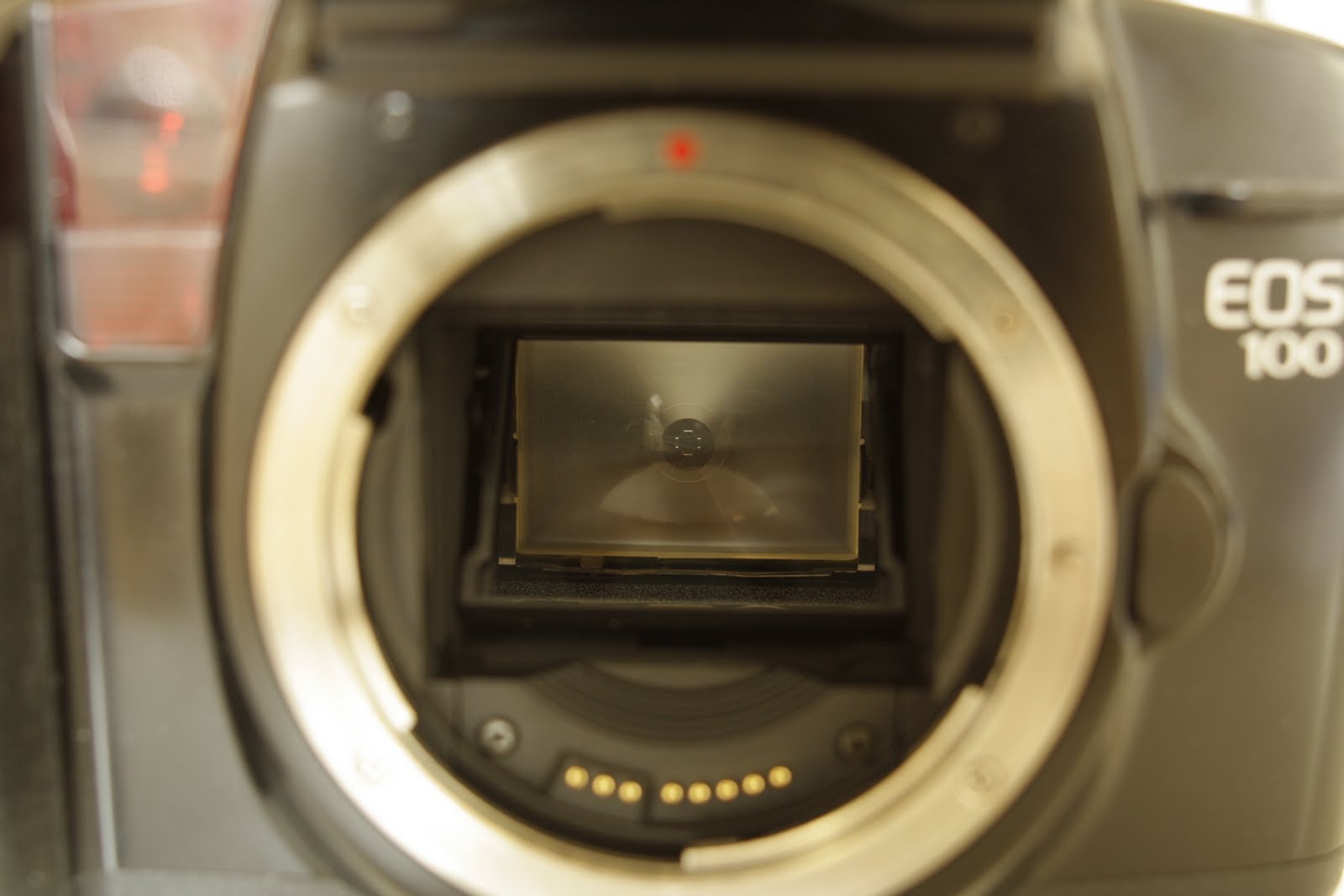 Discount 0815: Canon Eos 100