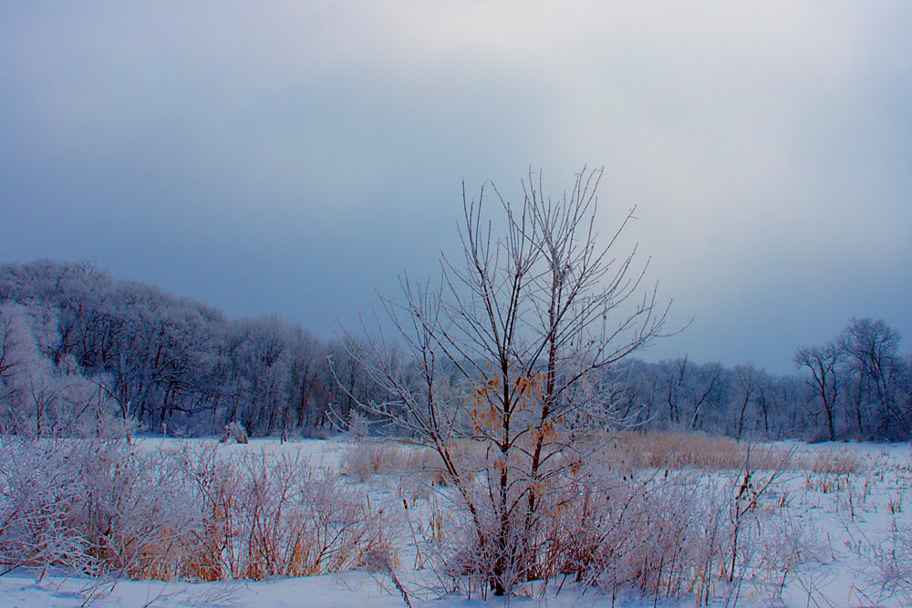 Images by Laurie: Minnesota Winter Scenes