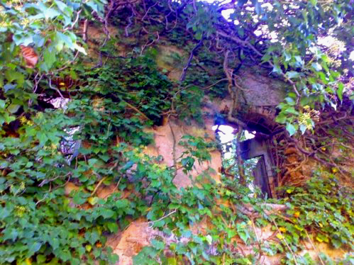 'U zzì Turi di Salvatore Marrari: PODARGONI, UN BORGO IN ABBANDONO