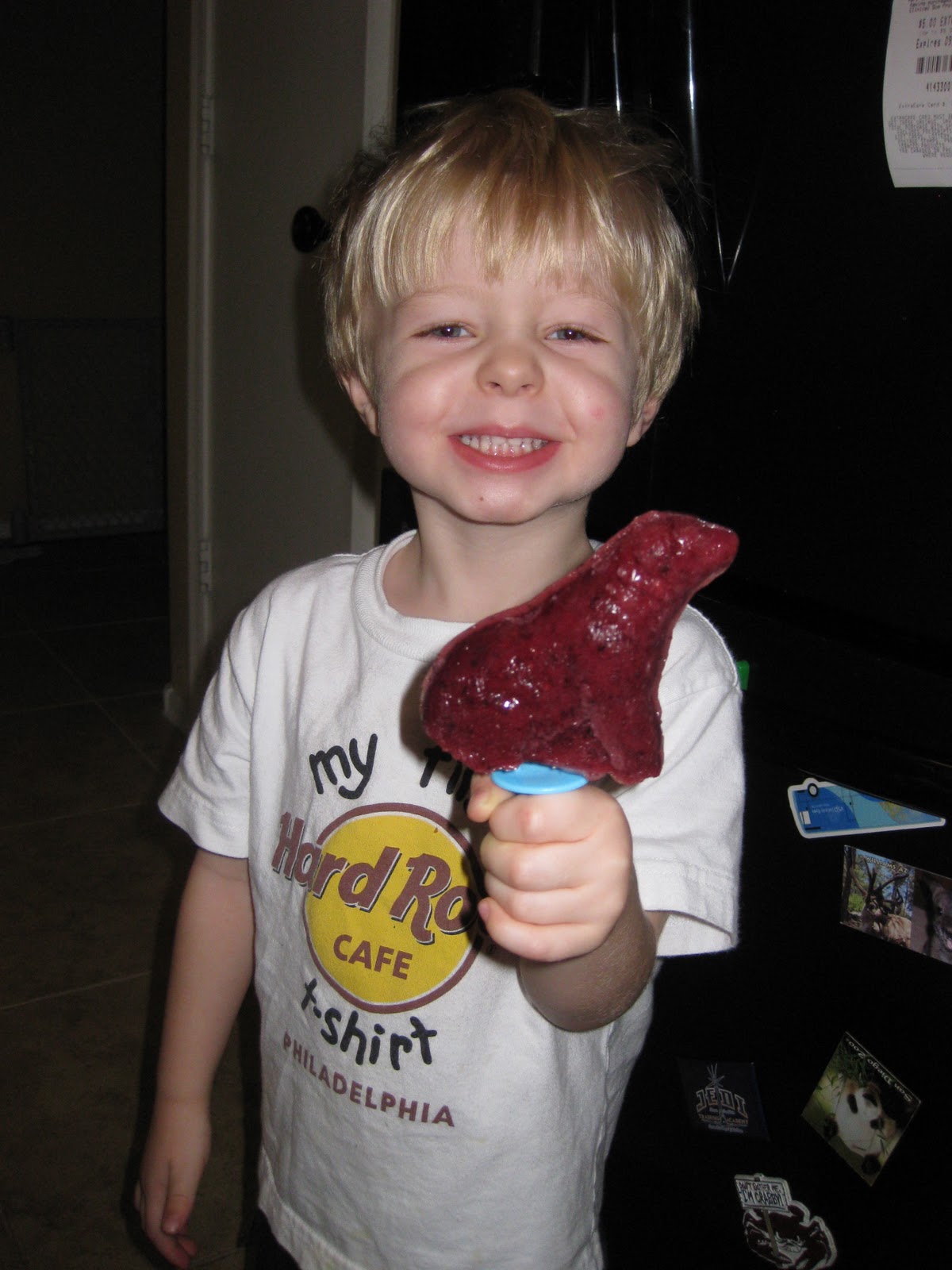 Zoo Pops! - Mom Endeavors