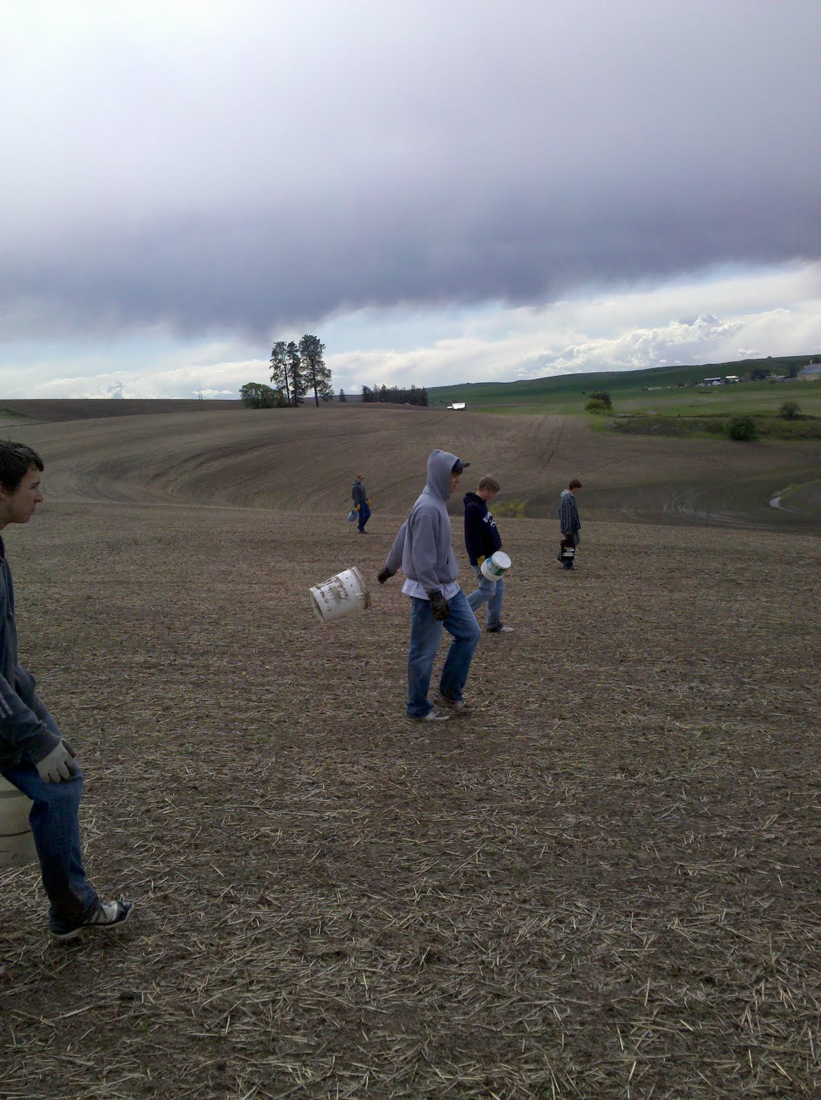 Swheat Farm Life: 05/27/10