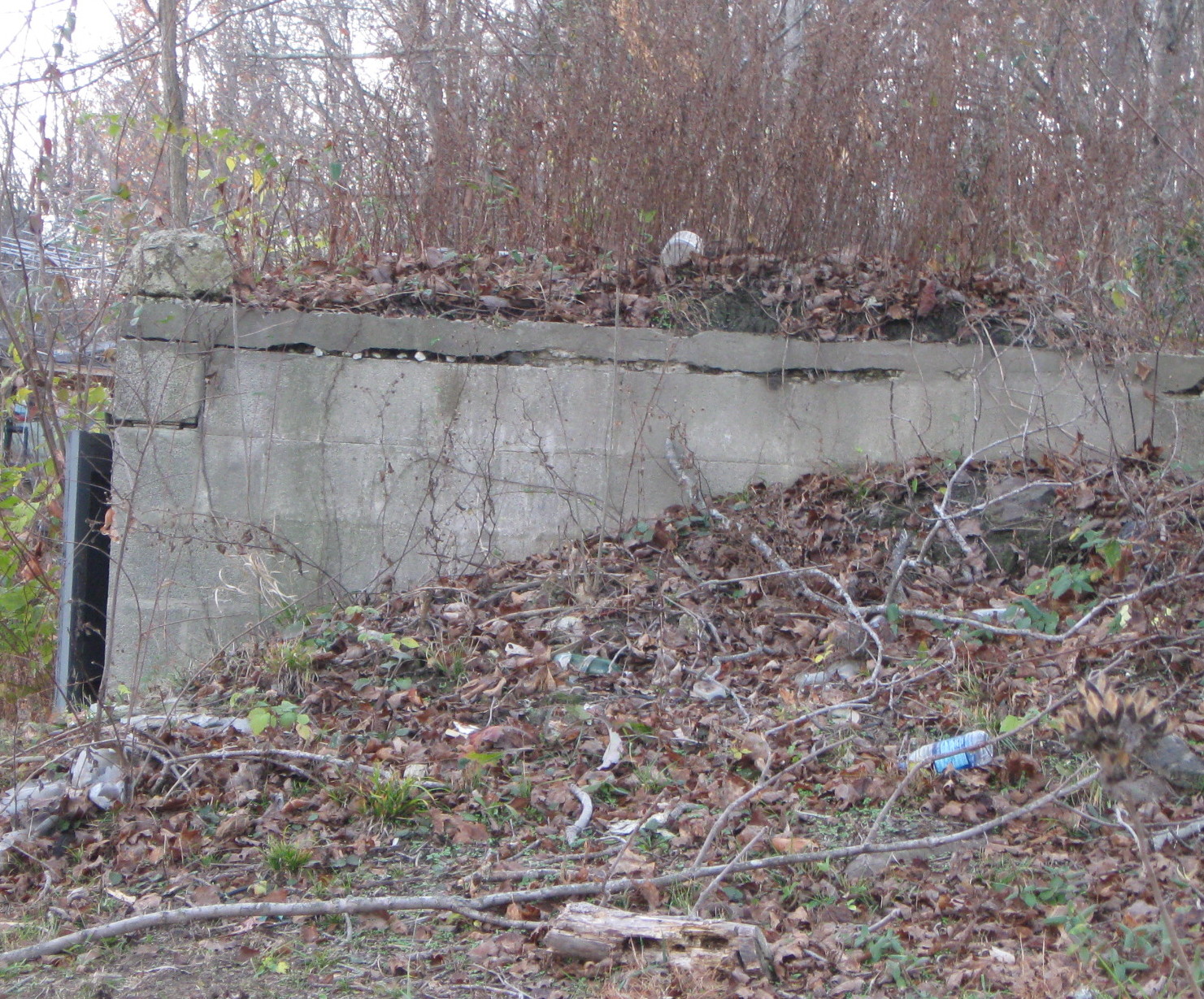 FOLKWAYS NOTEBOOK: MARGARET'S HILLSIDE ROOT CELLAR -- BUILT 1971
