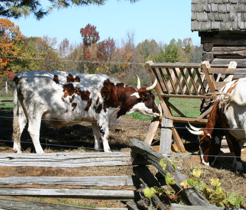 Genesee Country Village & Museum: Meet Tom & Mike