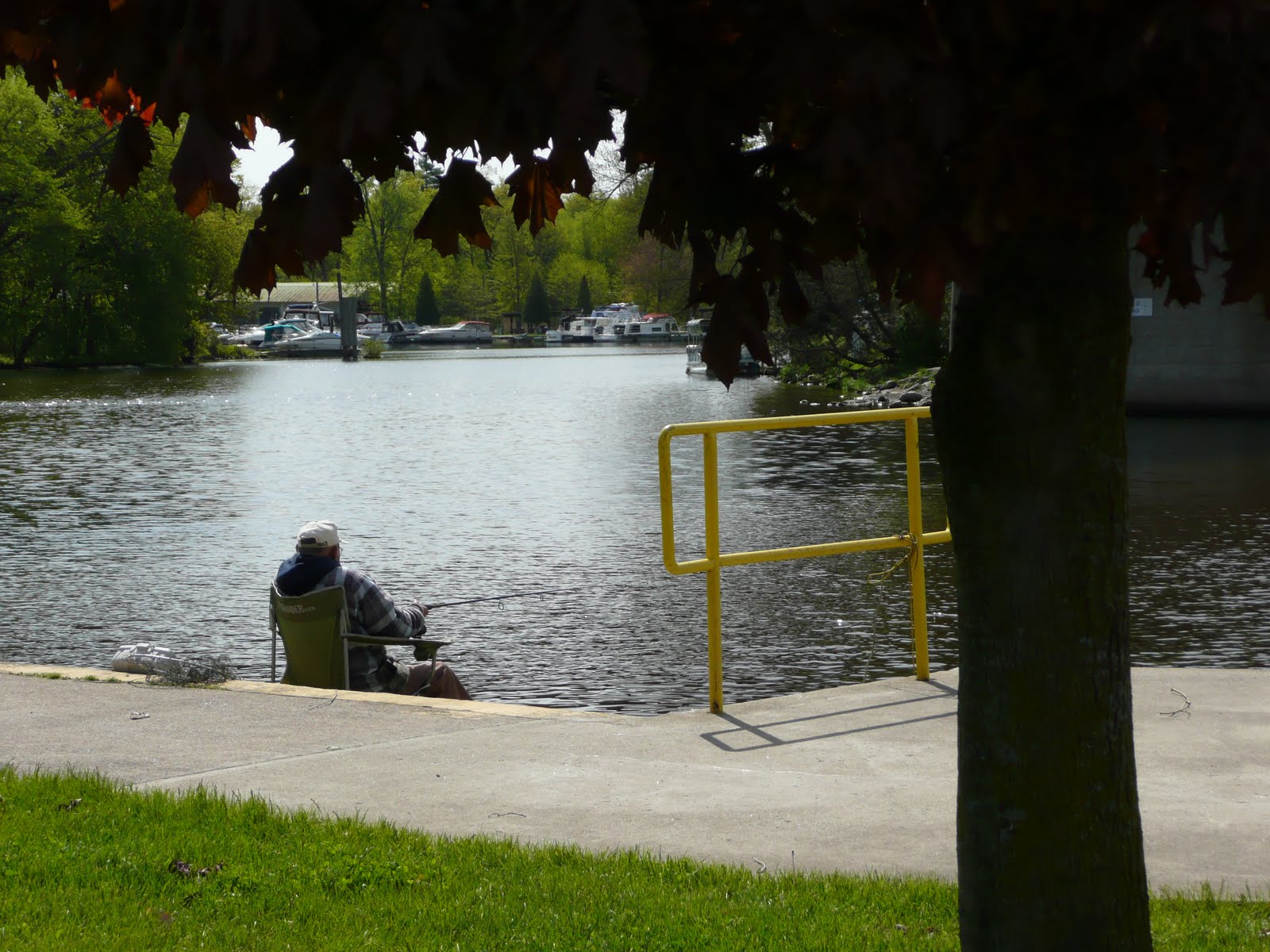 Oneida Lake Chronicles: Oneida Lake - Out & About
