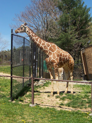 Patey Central: This jraf was her absolute favorite