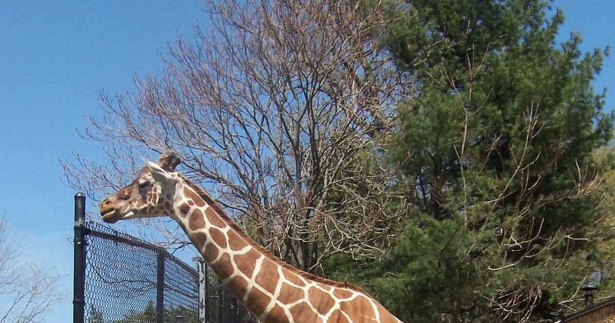 Patey Central: This jraf was her absolute favorite