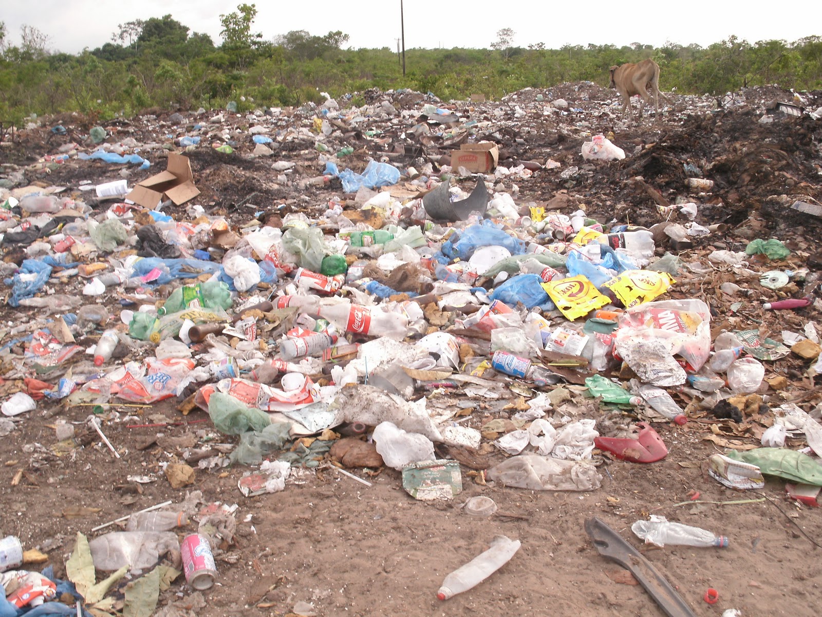 URBANO SANTOS VERDE: POLUIÇÃO DO SOLO
