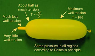 International University: Laplace's Law and Pascal's Law