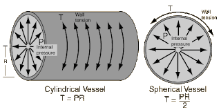 International University: Laplace's Law and Pascal's Law