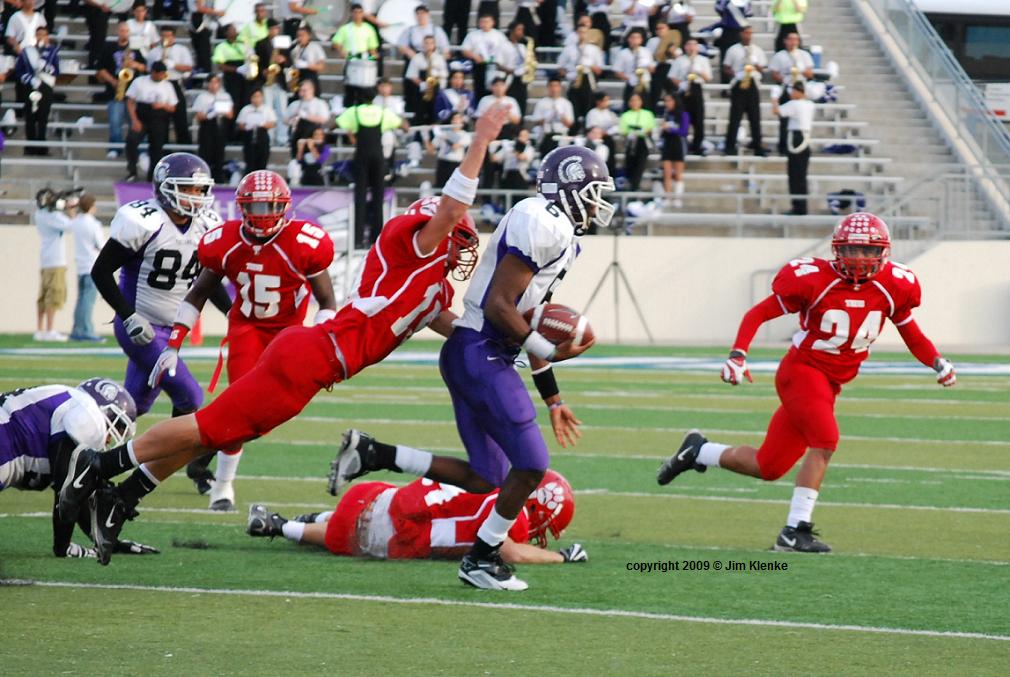 Terrell Daily Photo: Terrell Tiger shots