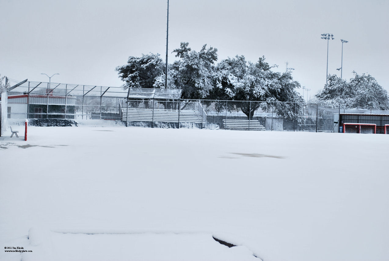 Terrell Daily Photo: 1/1/11 - 2/1/11