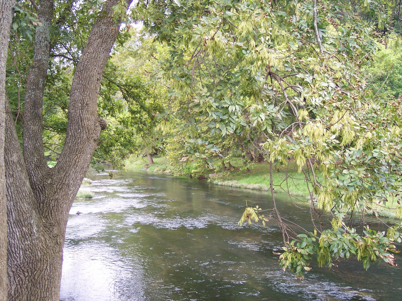 Tri-State Rebel Rides: JOLLY MILL NEAR PIERCE CITY, MISSOURI