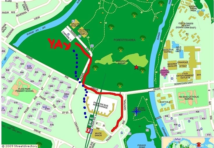 Joran at play: How to get to Pasir Ris Park Native Lawn CarPark C