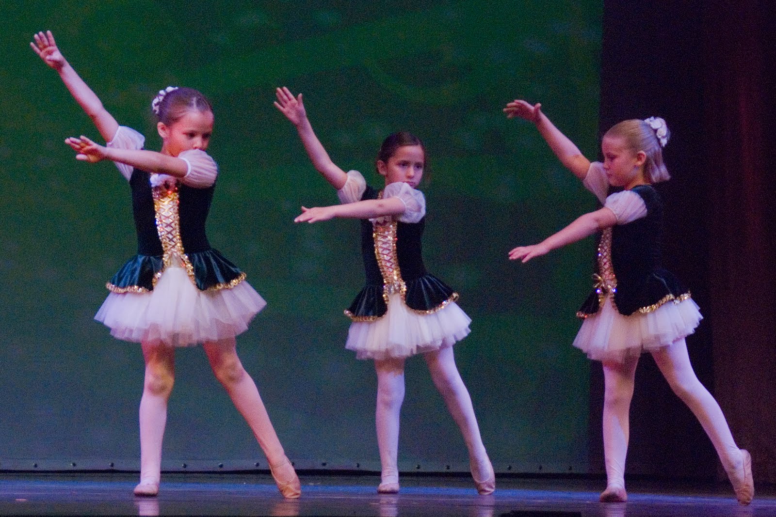 Petersen Family: The Wizard of OZ" Ballet Recitial