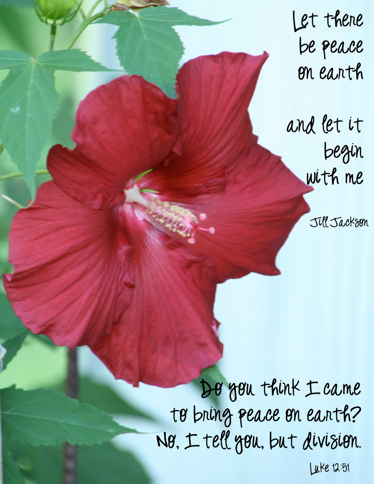 Intelligent Expressions: 261/365