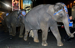 Collin's Cool Blog: The Lincoln tunnel elephants