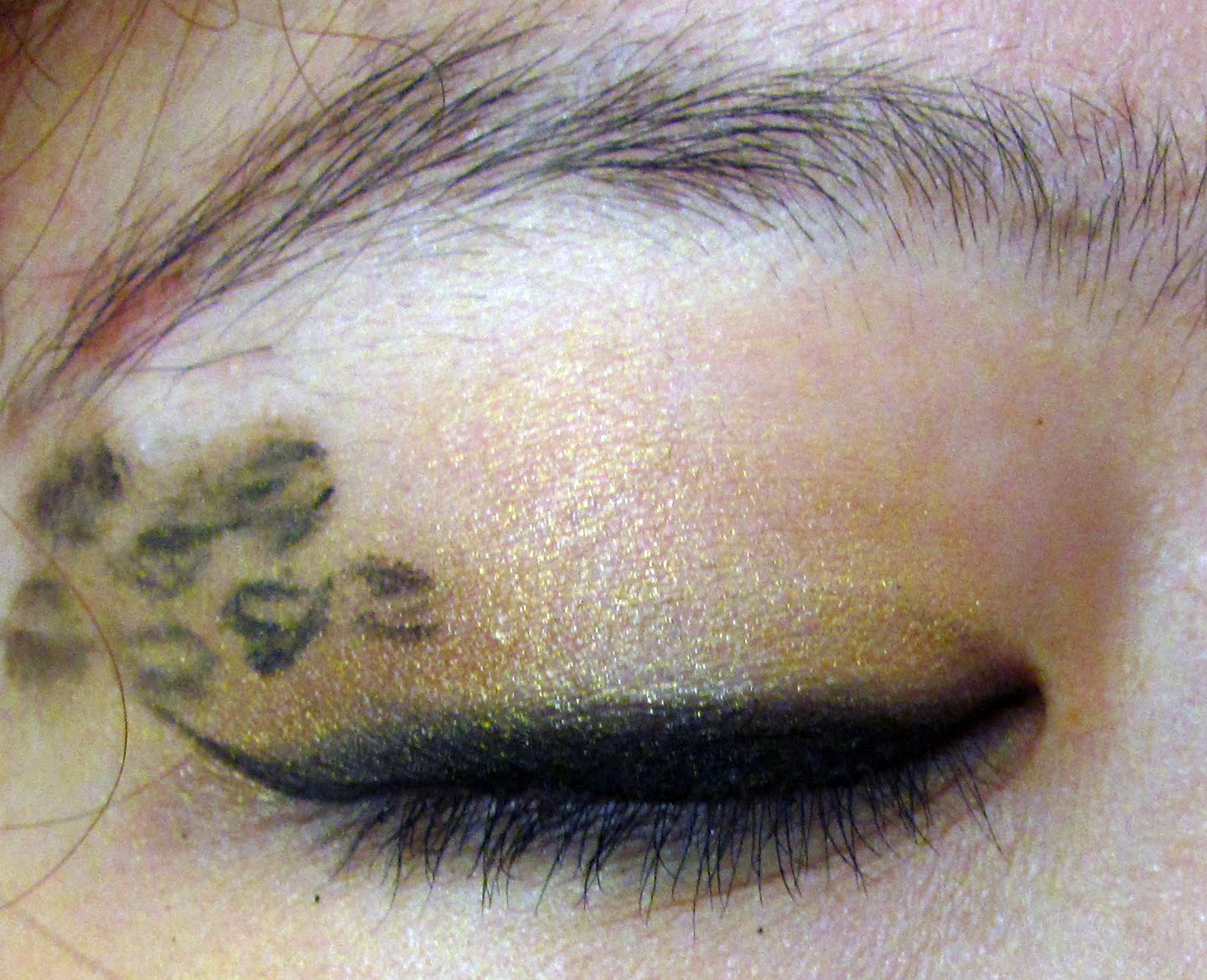 pandaphilia: F-I-E-R-C-E