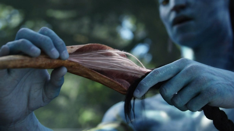 Lunar Dreaming: How to be a Na'vi in your dreams