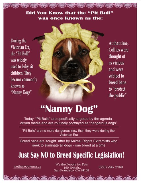 Are Collies Nanny Dogs