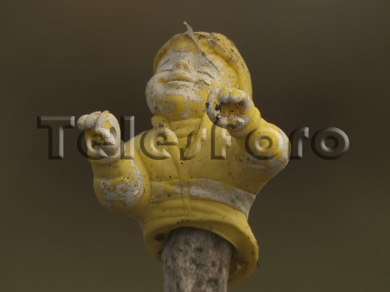 TelesForo y sus risas