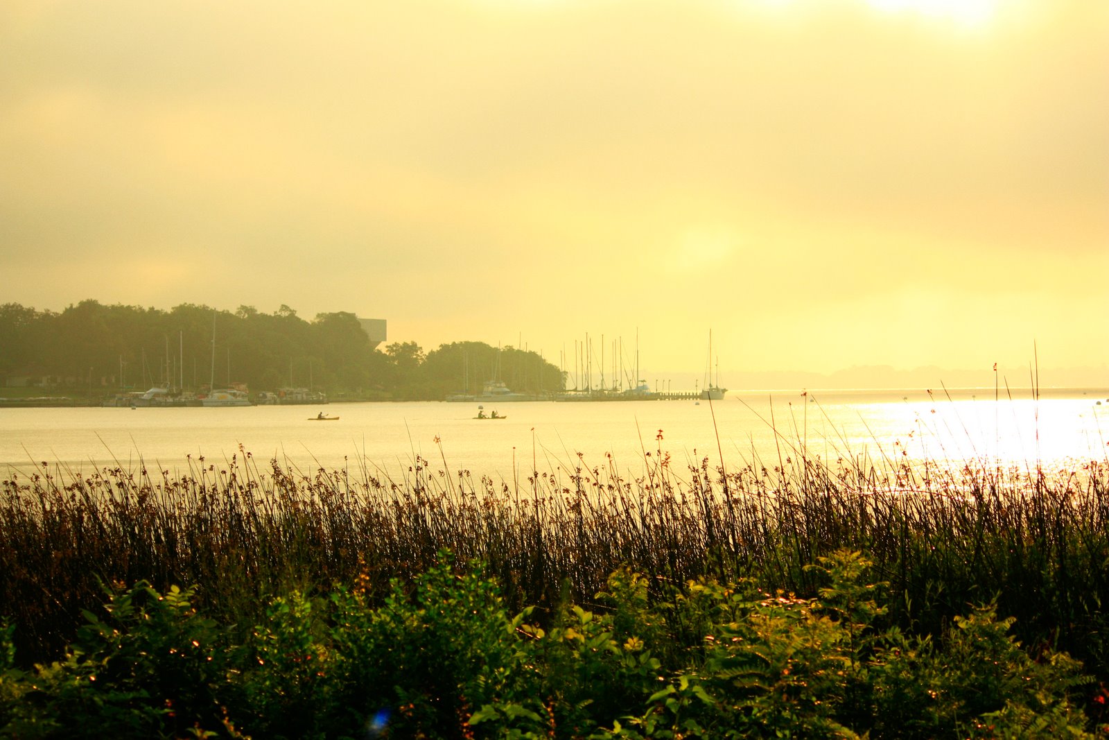 Alethia Rains Photography: unedited landscape and sky