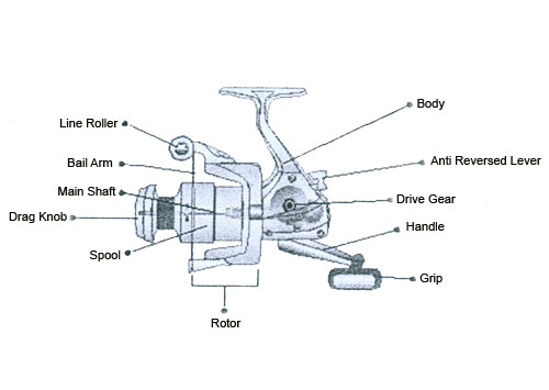 ASYIKNYA MANCING: REEL (RIL)