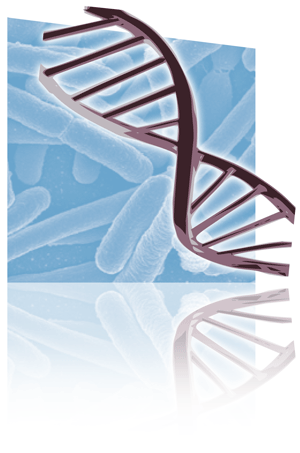 Laboratorio de Bioquímica: La Biología y La Química Práctica