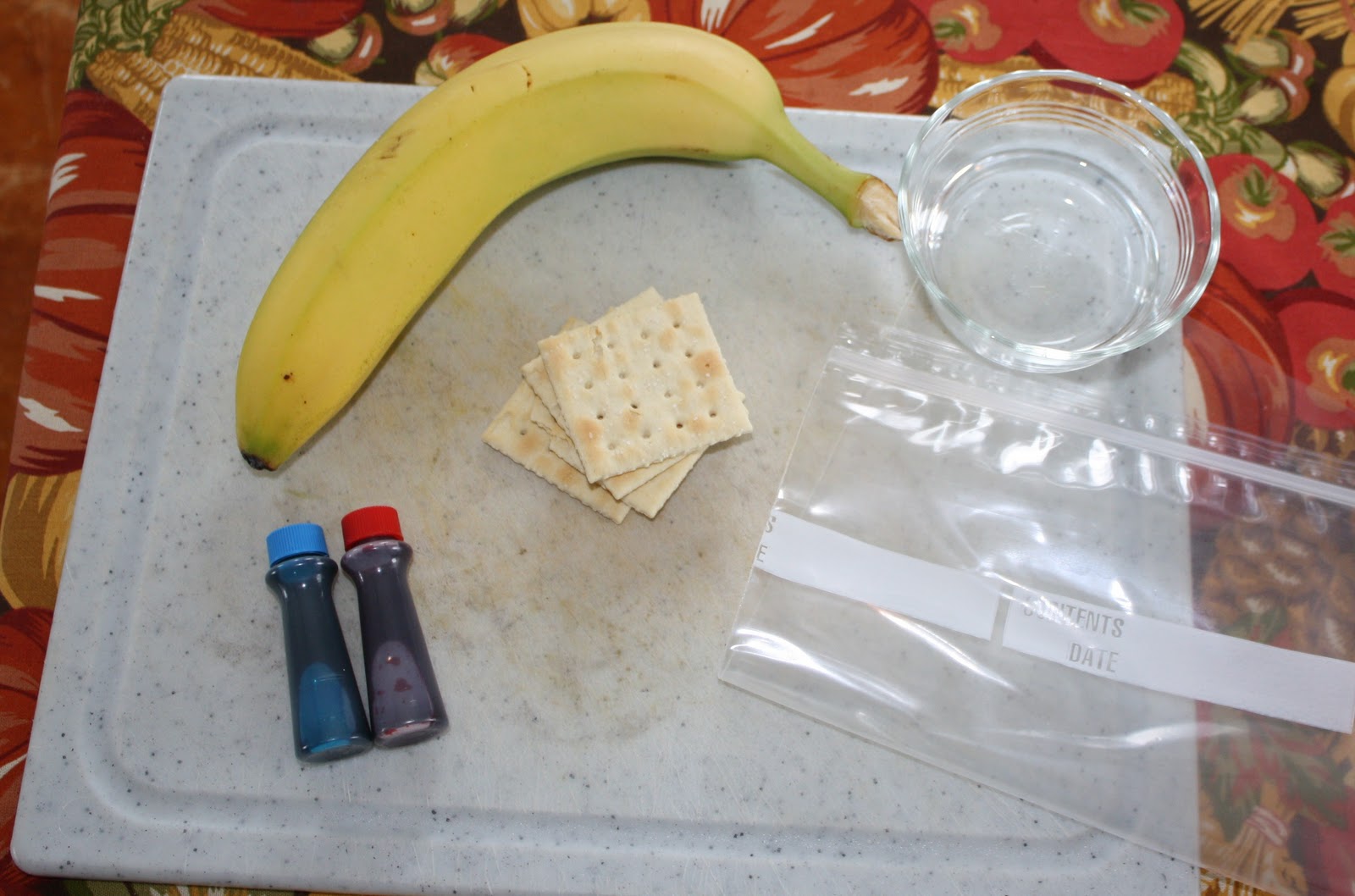 Once Upon a Family: Body Systems: Digestion, Stomach Model