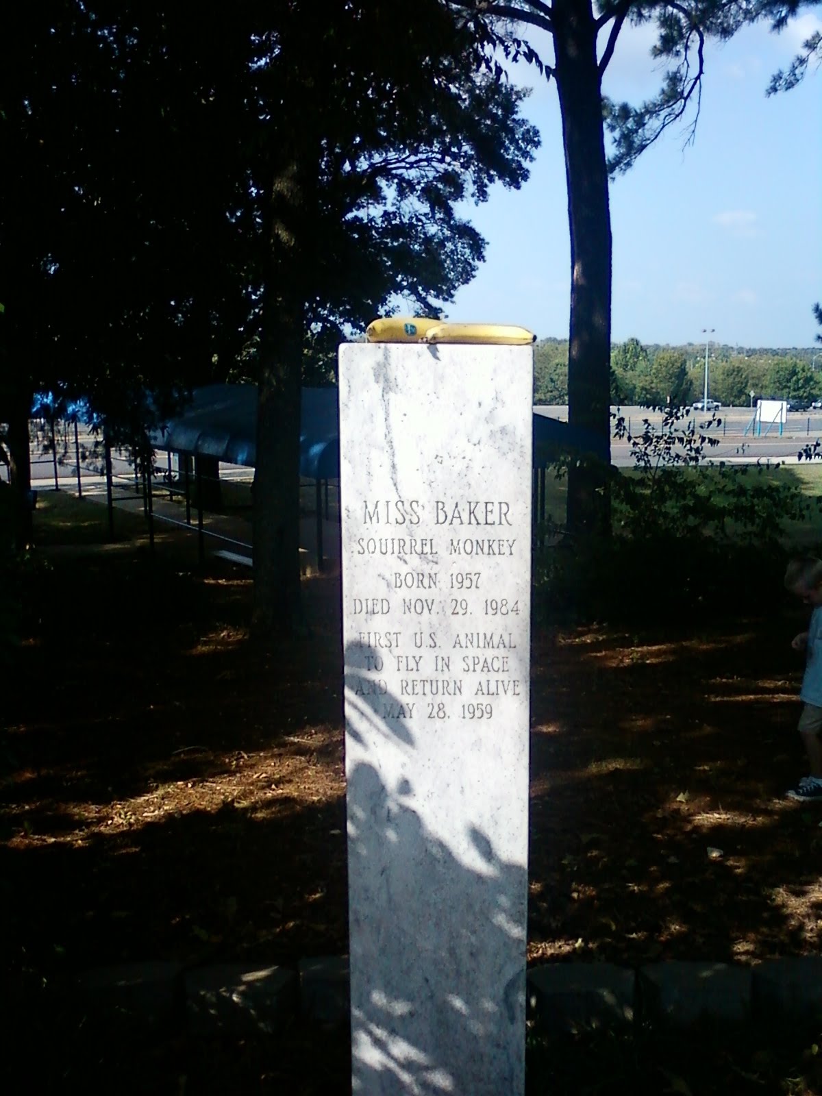 Josh Tinley.com: Paying My Respects to Miss Baker